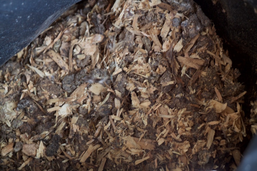 Hotbin composting - Stephanie Hafferty