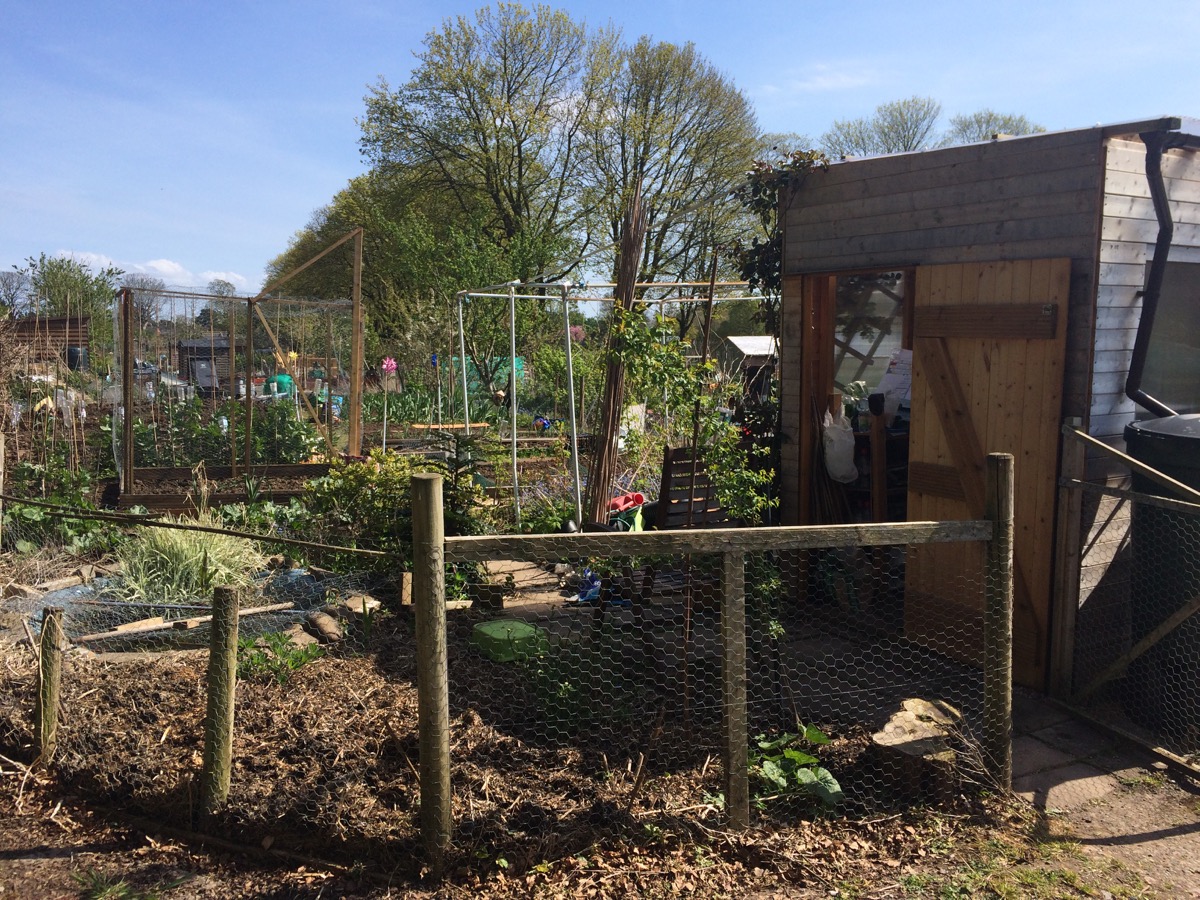 Riverside Community Garden, Cardiff - Stephanie Hafferty