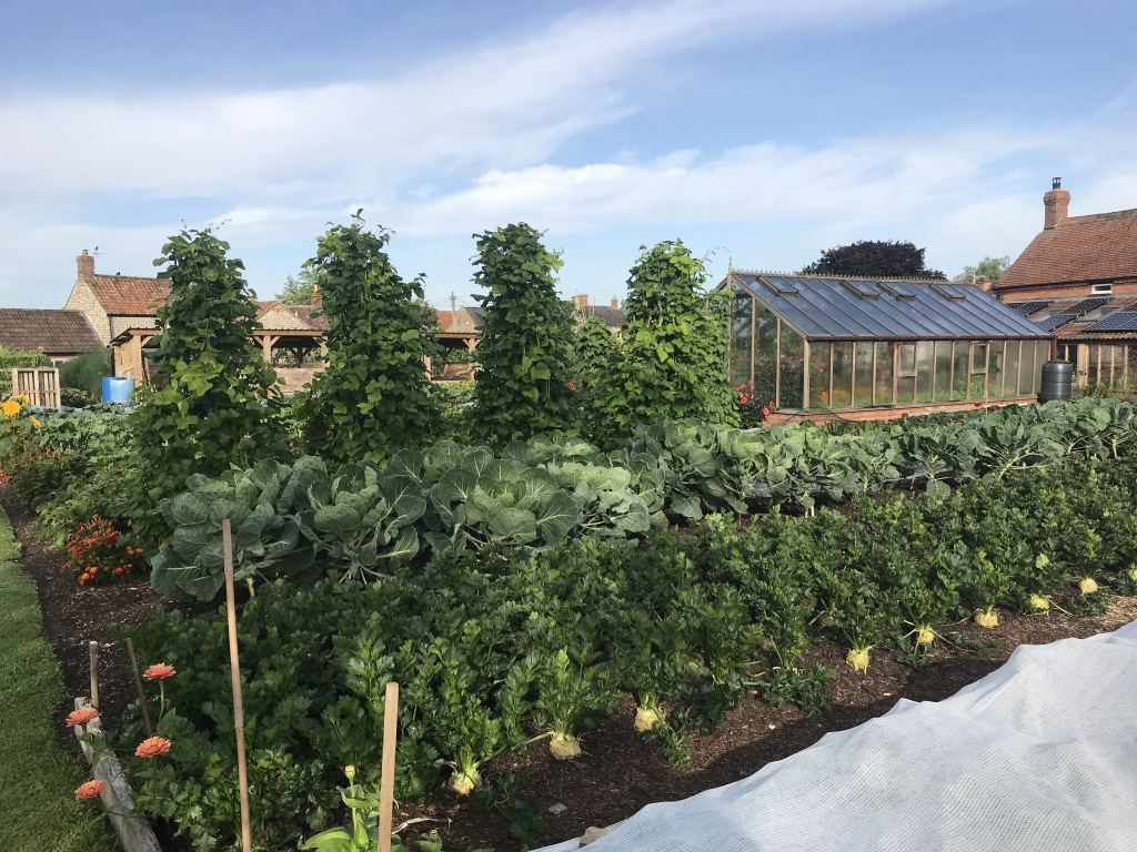 Homeacres No Dig Garden Photo Tour - Stephanie Hafferty