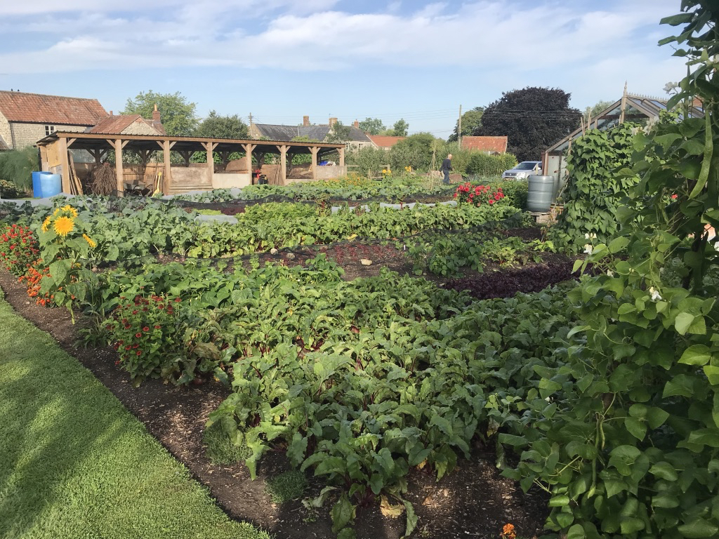 Homeacres No Dig Garden Photo Tour - Stephanie Hafferty