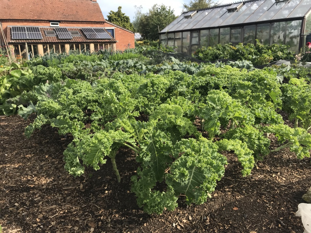 Homeacres No Dig Garden Photo Tour - Stephanie Hafferty