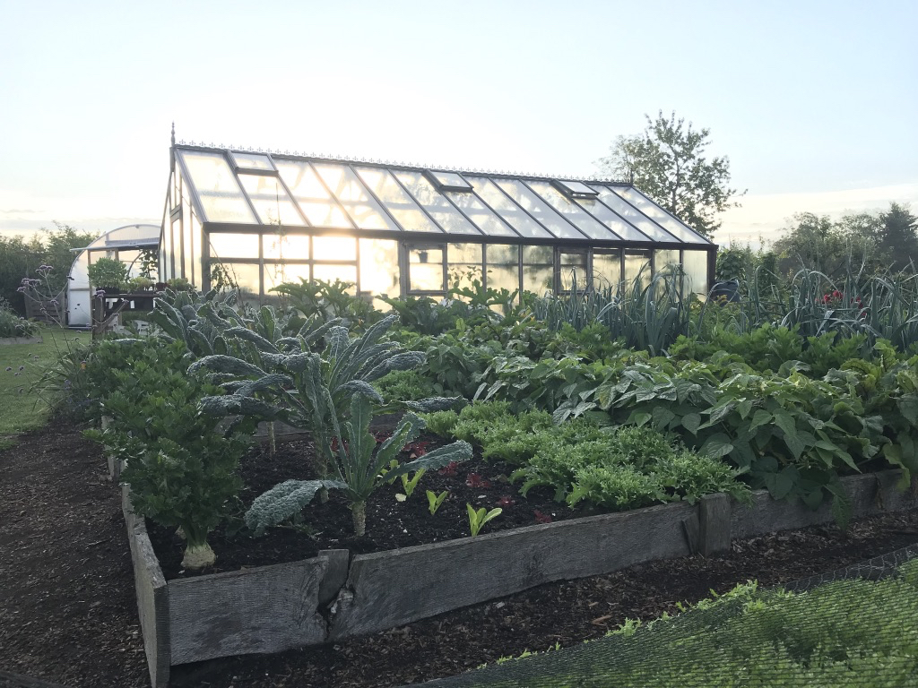 Homeacres No Dig Garden Photo Tour - Stephanie Hafferty