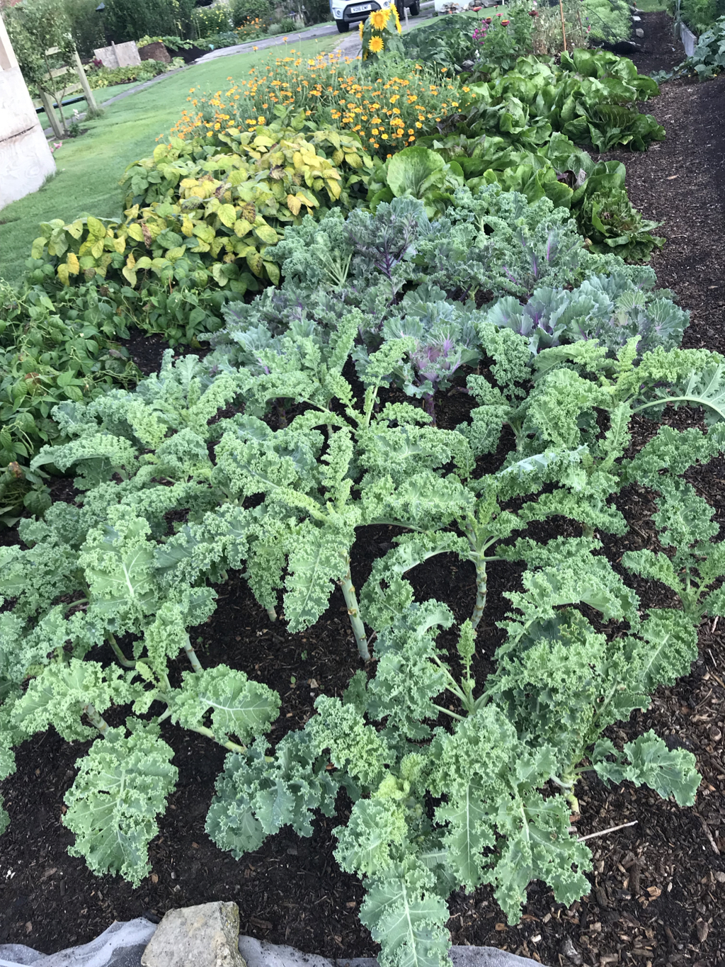 Homeacres No Dig Garden Photo Tour - Stephanie Hafferty